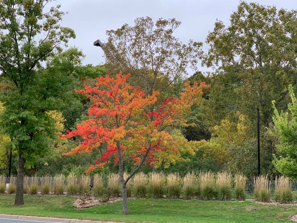 City of Bloomington MN