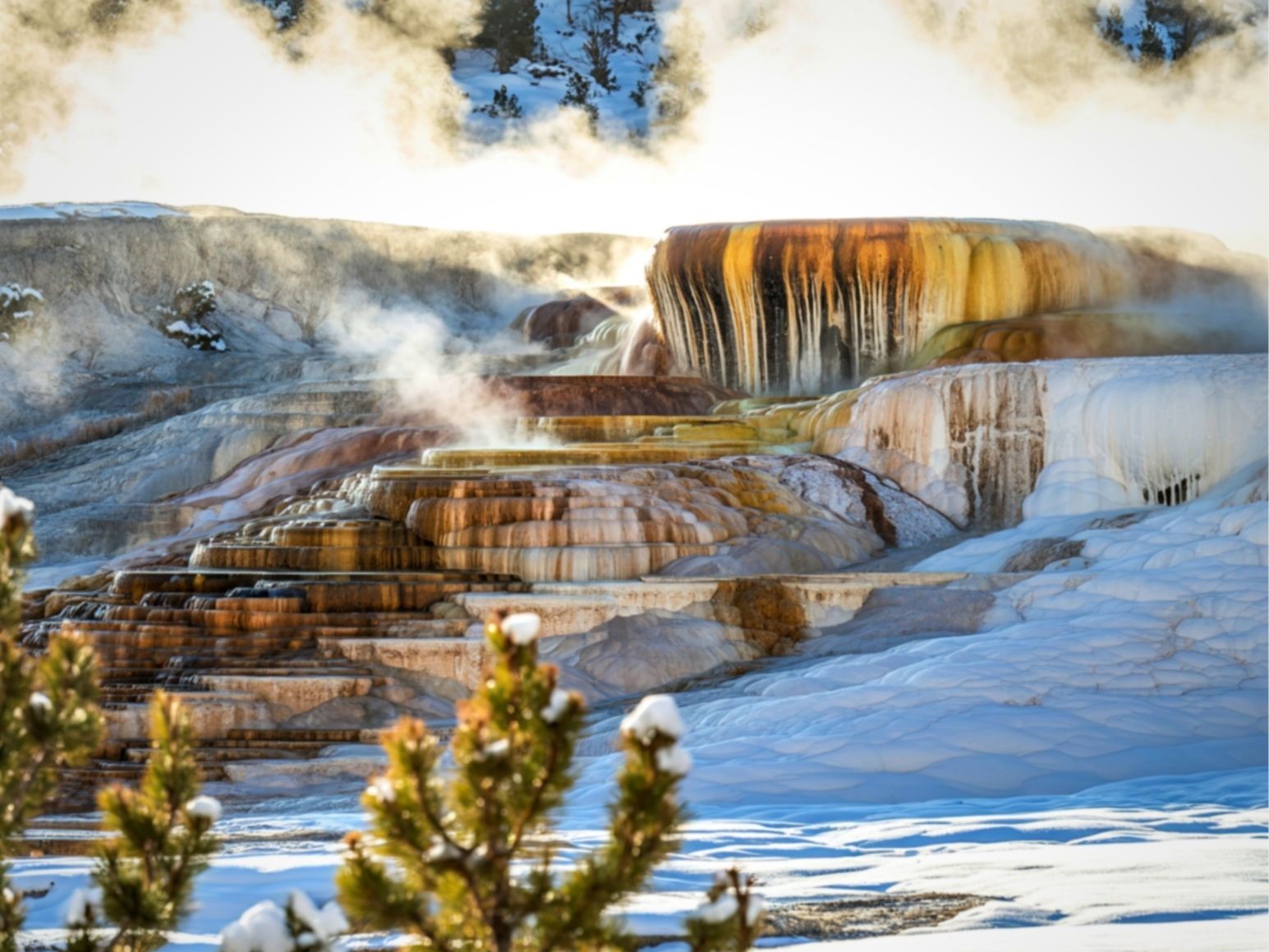 Yellowstone National Park Video Presentation (50+) | City of Bloomington MN